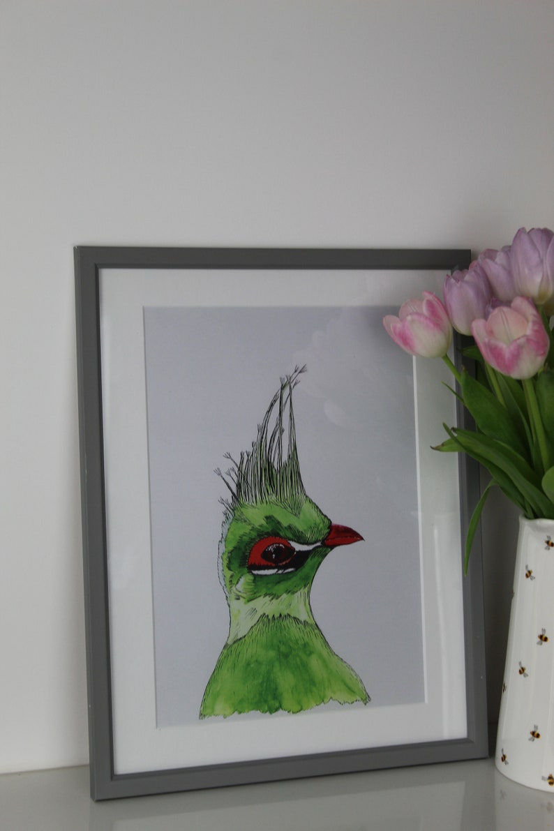 Guinea Turaco Physical Bird Art Print Watercolour & Pen - Etsy