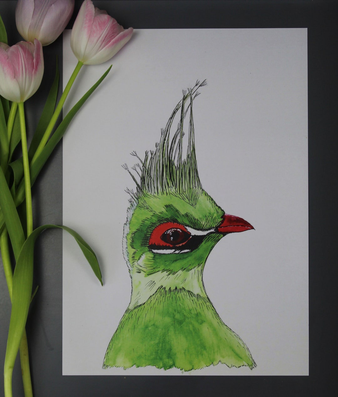 Guinea Turaco Physical Bird Art Print, Watercolour & Pen - Etsy