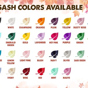 Plain Blank Sashes - 10, 25, 50 & 100 Packs Plain Sash Blank Sash ...