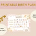 Visual Birth Plan L Natural Birth Template L Labor and Birth ...