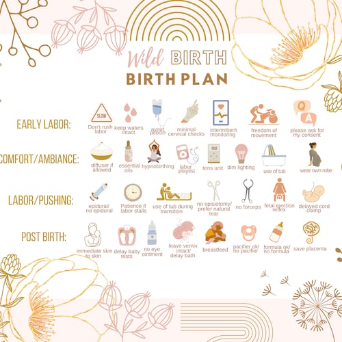 Custom Visual Birth Plan™ - Etsy