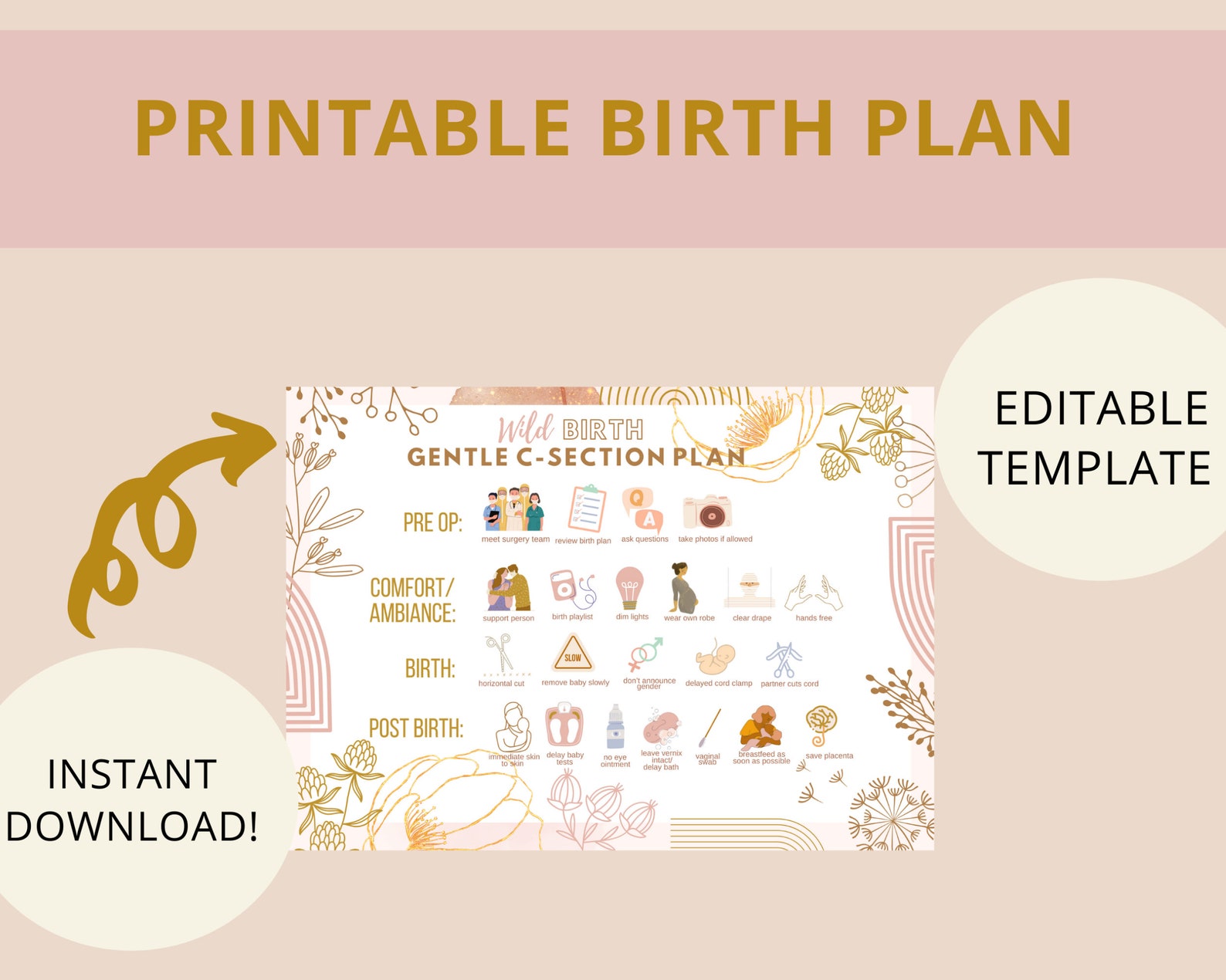 Gentle C-section Birth Plan L Visual Birth Plan L Birth Plan Template ...