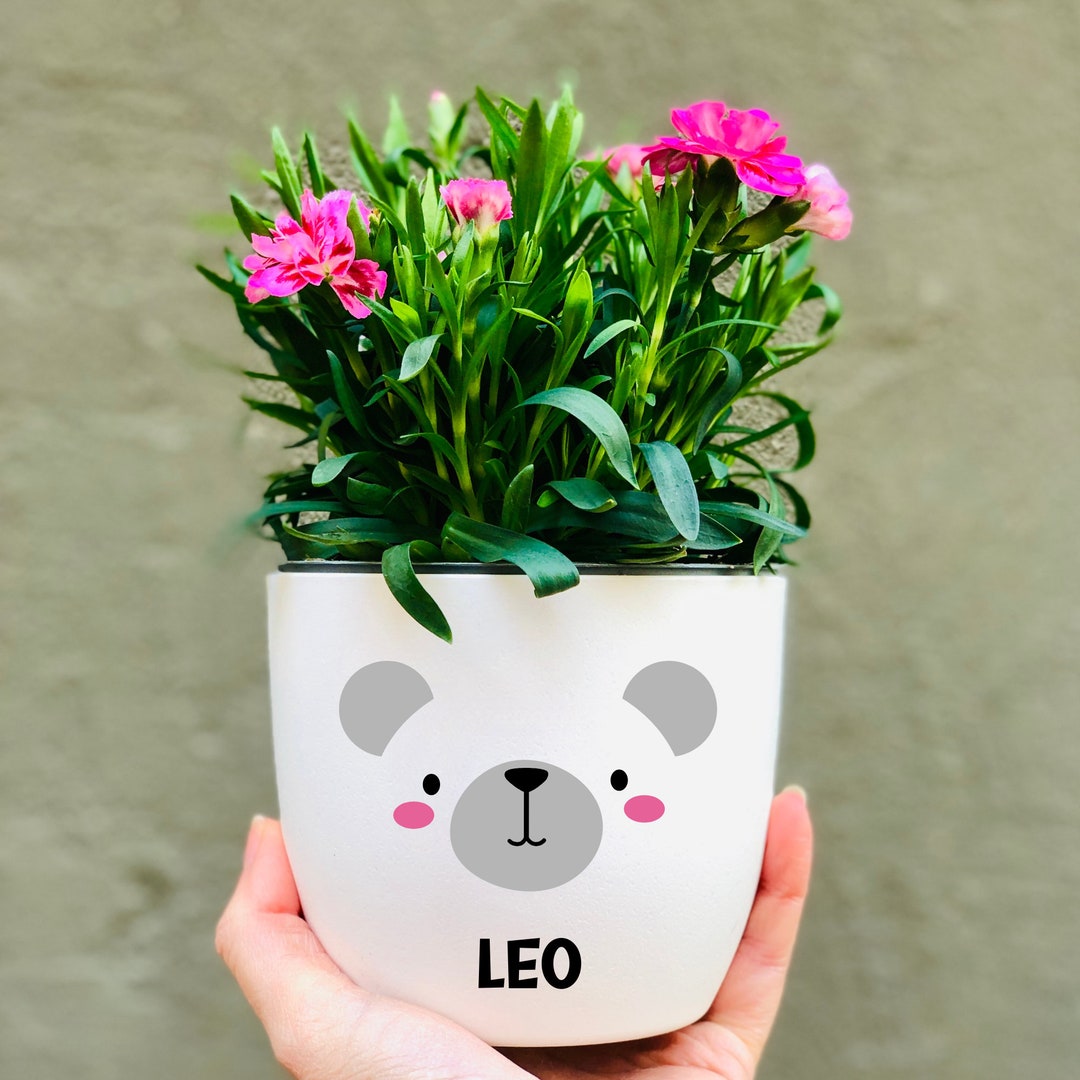 Flowerpot Cute Animal Face - Gift Idea for Children - Cheerful Plant ...