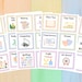 Pastel Classroom Visual Timetable Class Schedule Cards Decor Decoration ...
