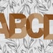 Wood Nature Theme Classroom Decor Bundle Editable Bulletin Board ...