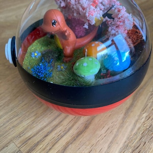 Charmander Handmade Pokémon Pokeball Terrarium. Pokemon , Pokeballs ...