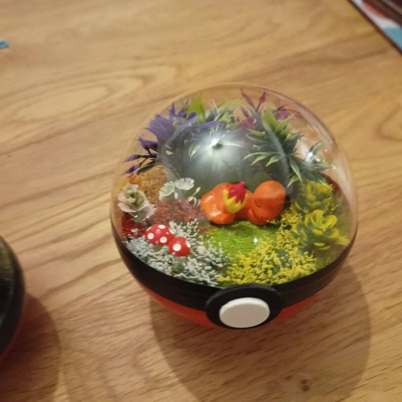 Charmander Handmade Pokémon Pokeball Terrarium. Pokemon - Etsy