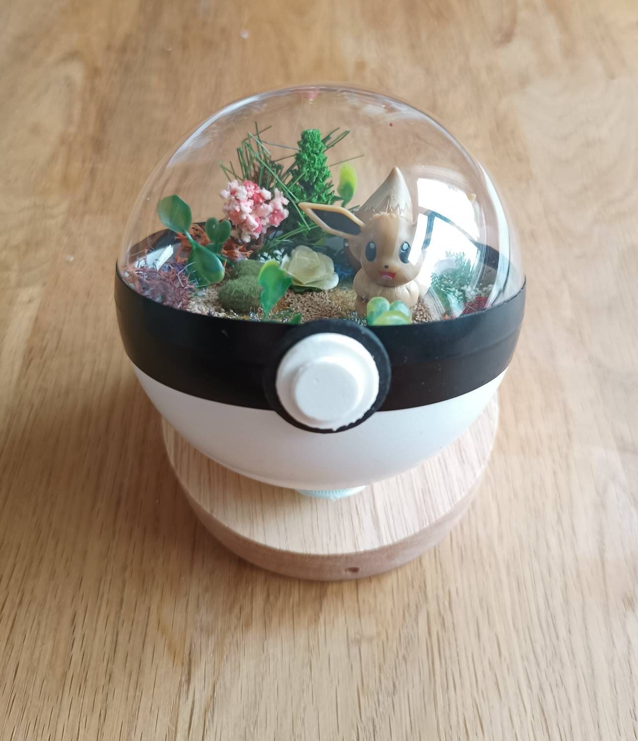 Eevee Handmade Pokémon Pokeball Terrarium. Pokemon Pokeballs - Etsy ...