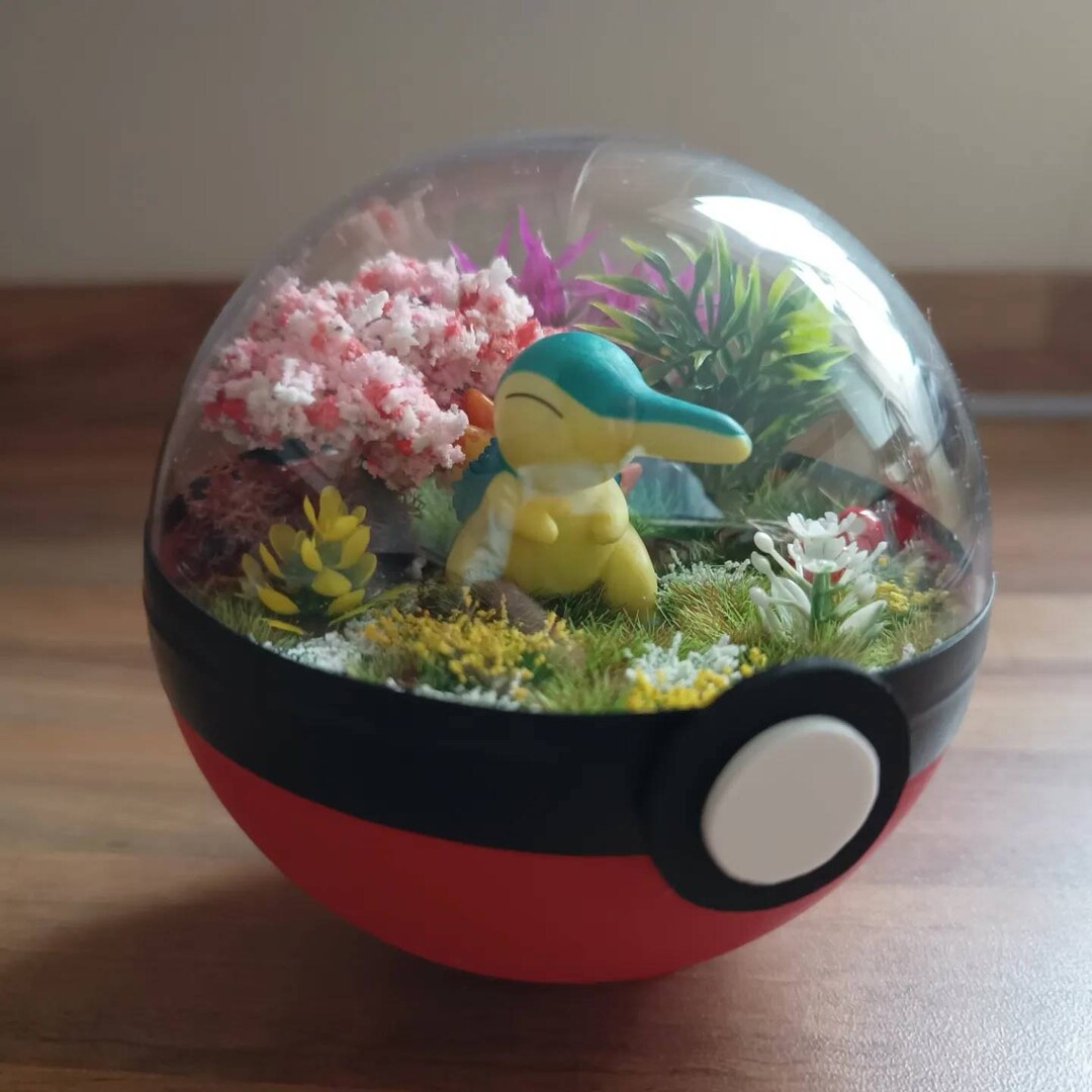Cyndaquil Handmade Pokémon Pokeball Terrarium. Pokemon , Pokeballs ...