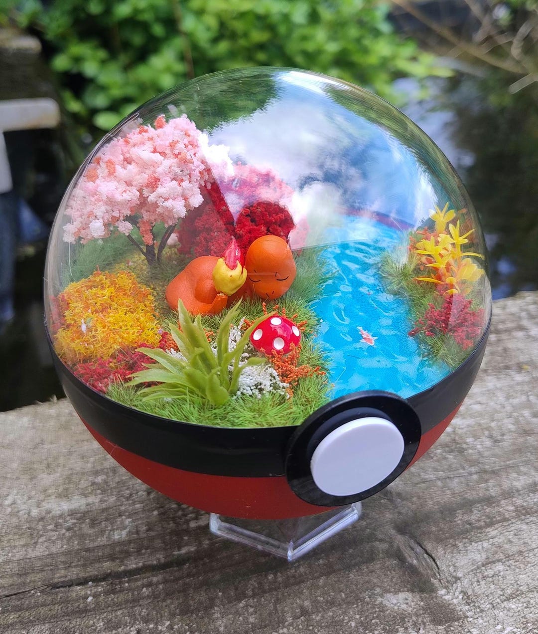 Charmander Handmade Pokémon Pokeball Terrarium. Pokemon , Pokeballs ...