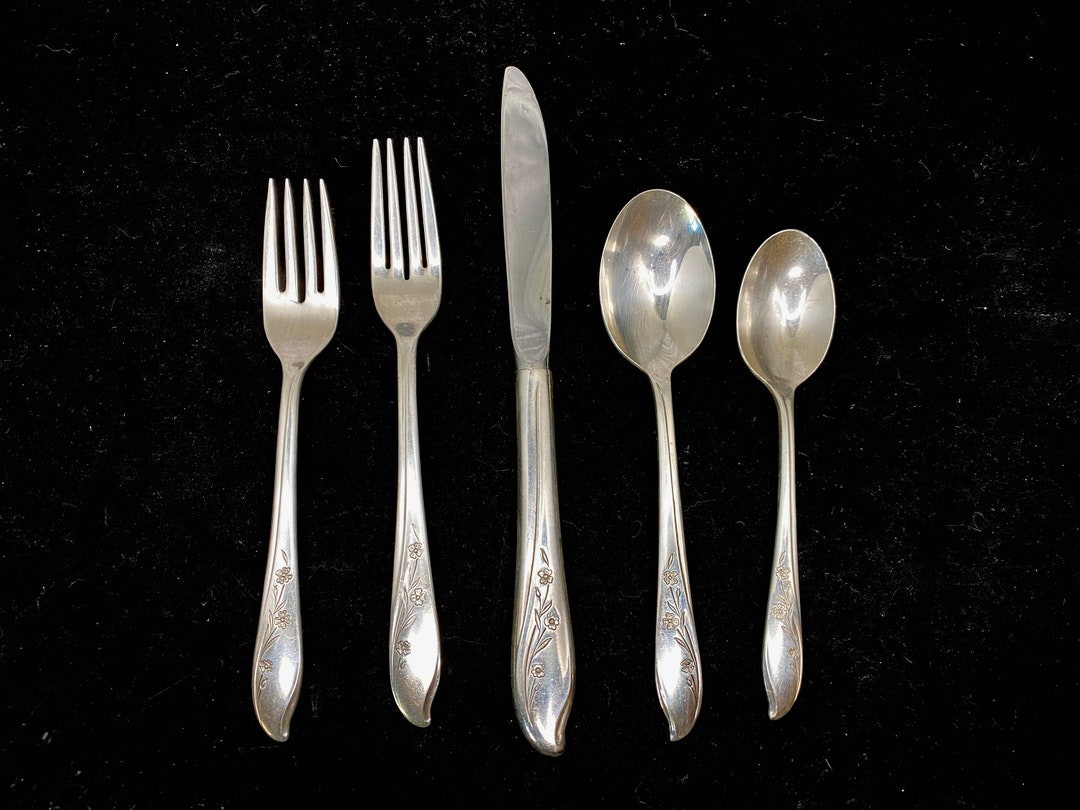 Vintage 45pc Set Springtime Silverplate Flatware Rogers Brothers ...