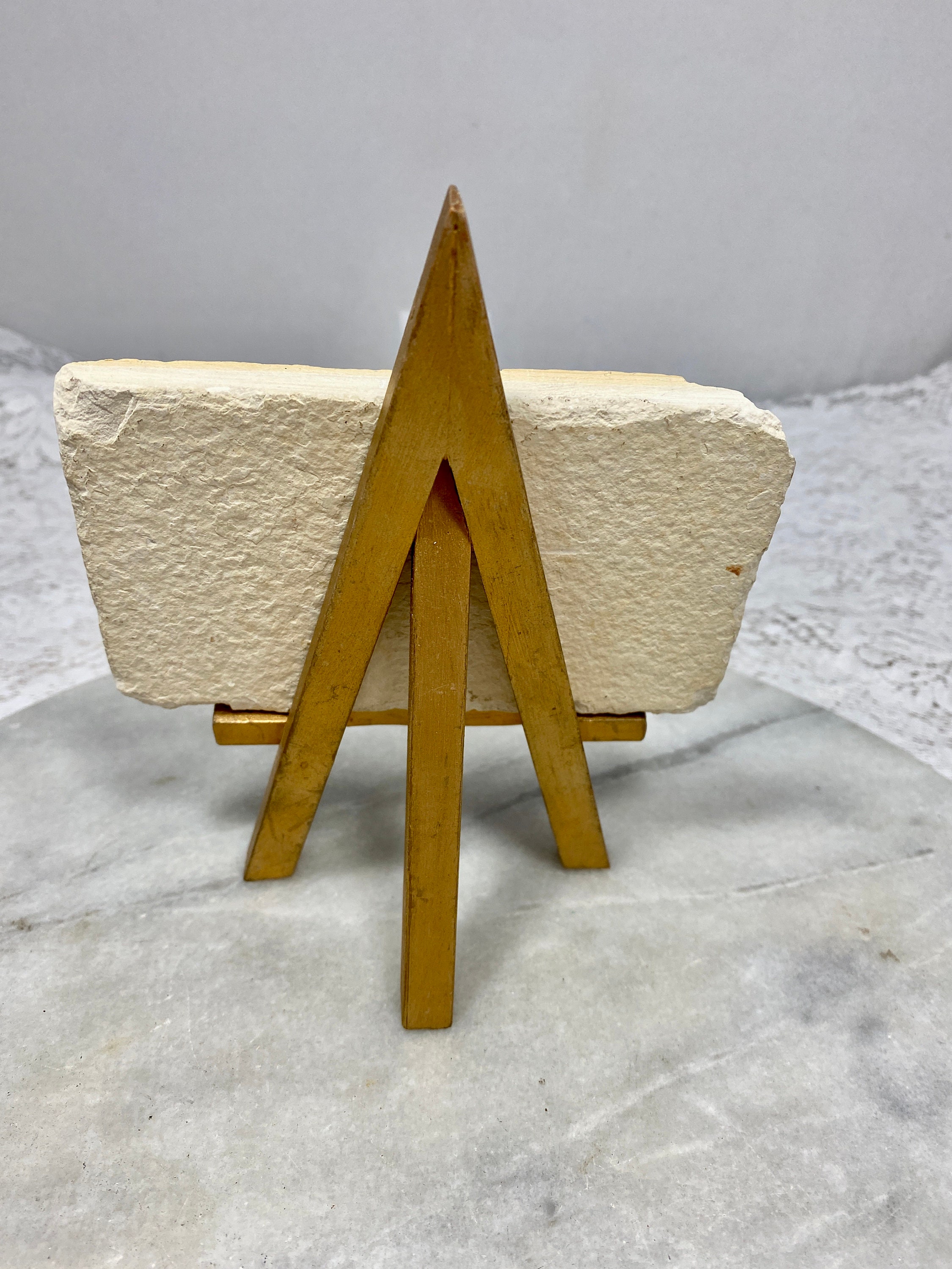 Fossilized Bony Finned Fish Specimen Fossil - Etsy