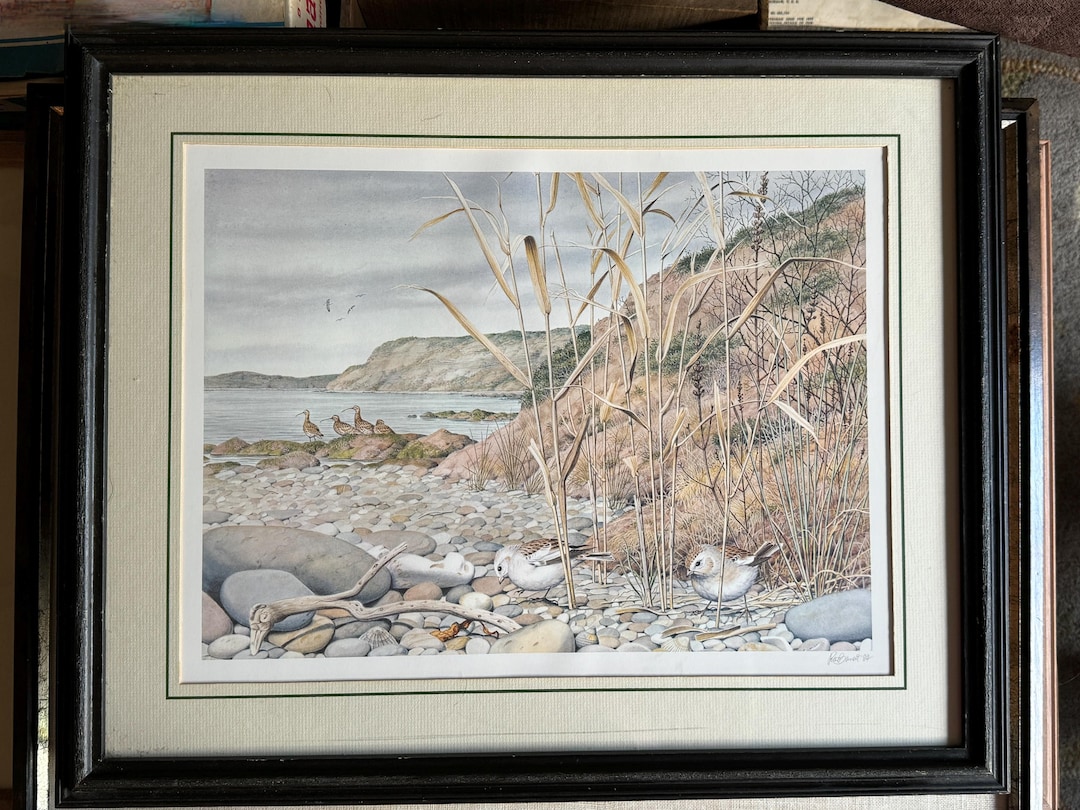 Artist Peter Barrett 'winter's Twilight on the Dorset Coast' Fine Art ...