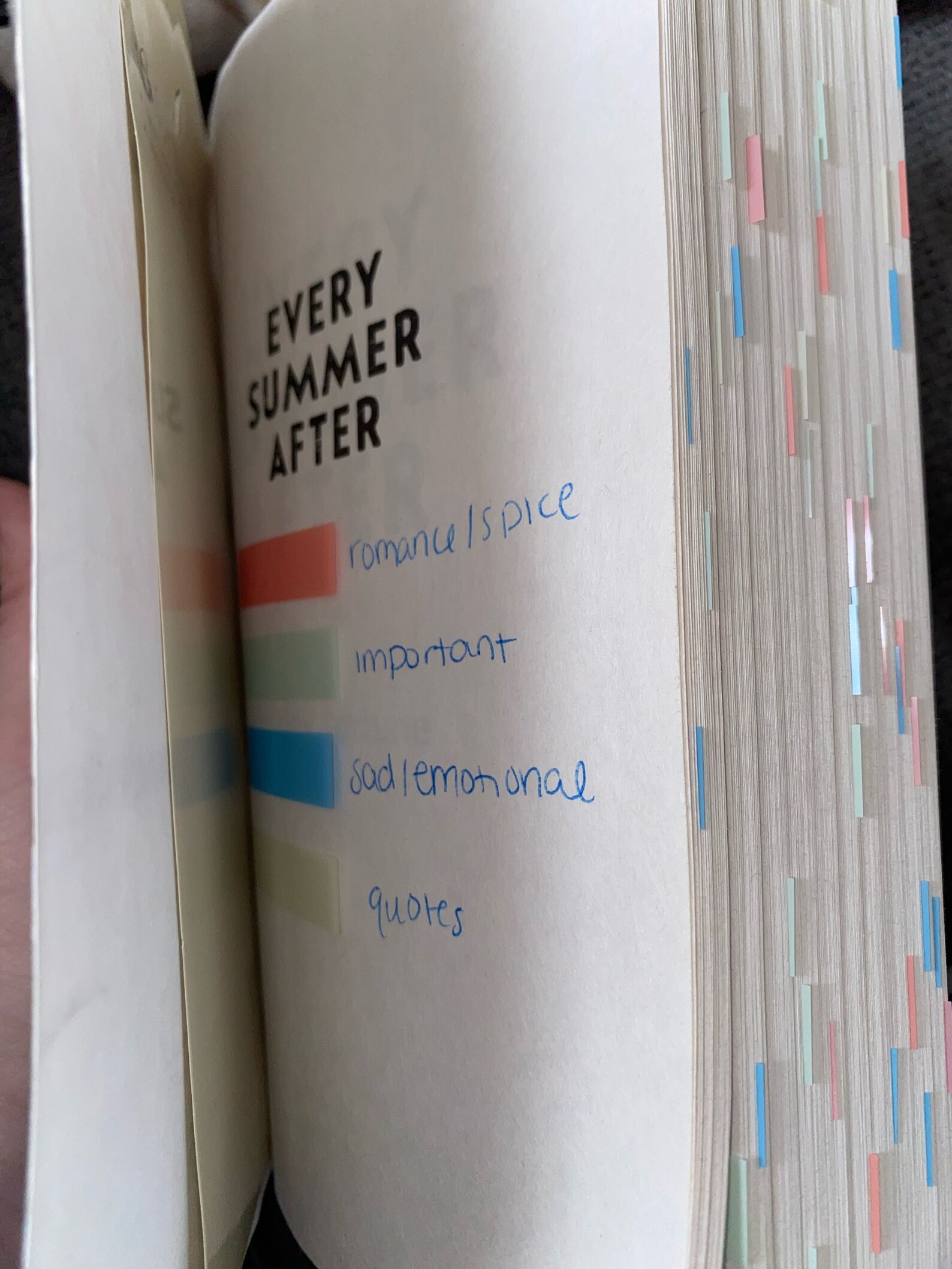 Annotated Copy of Every Summer After - Etsy
