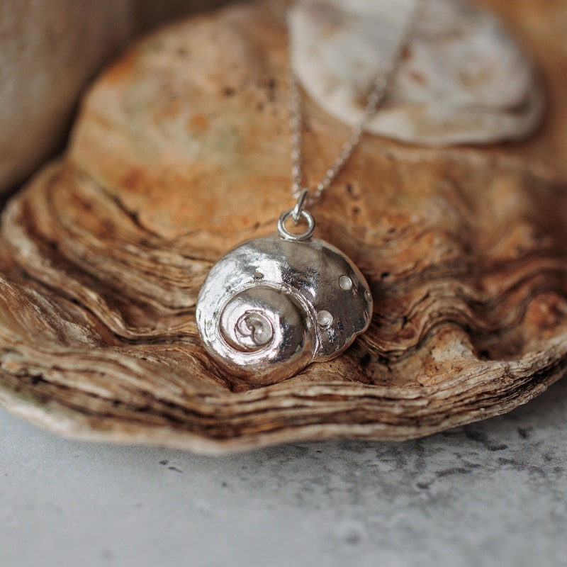 Snail Shells - Etsy