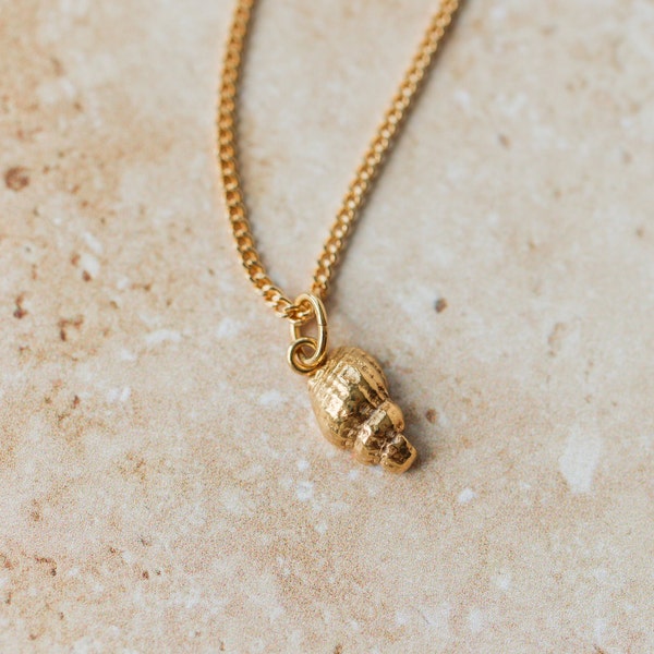 Gold Shell Pendant - Etsy