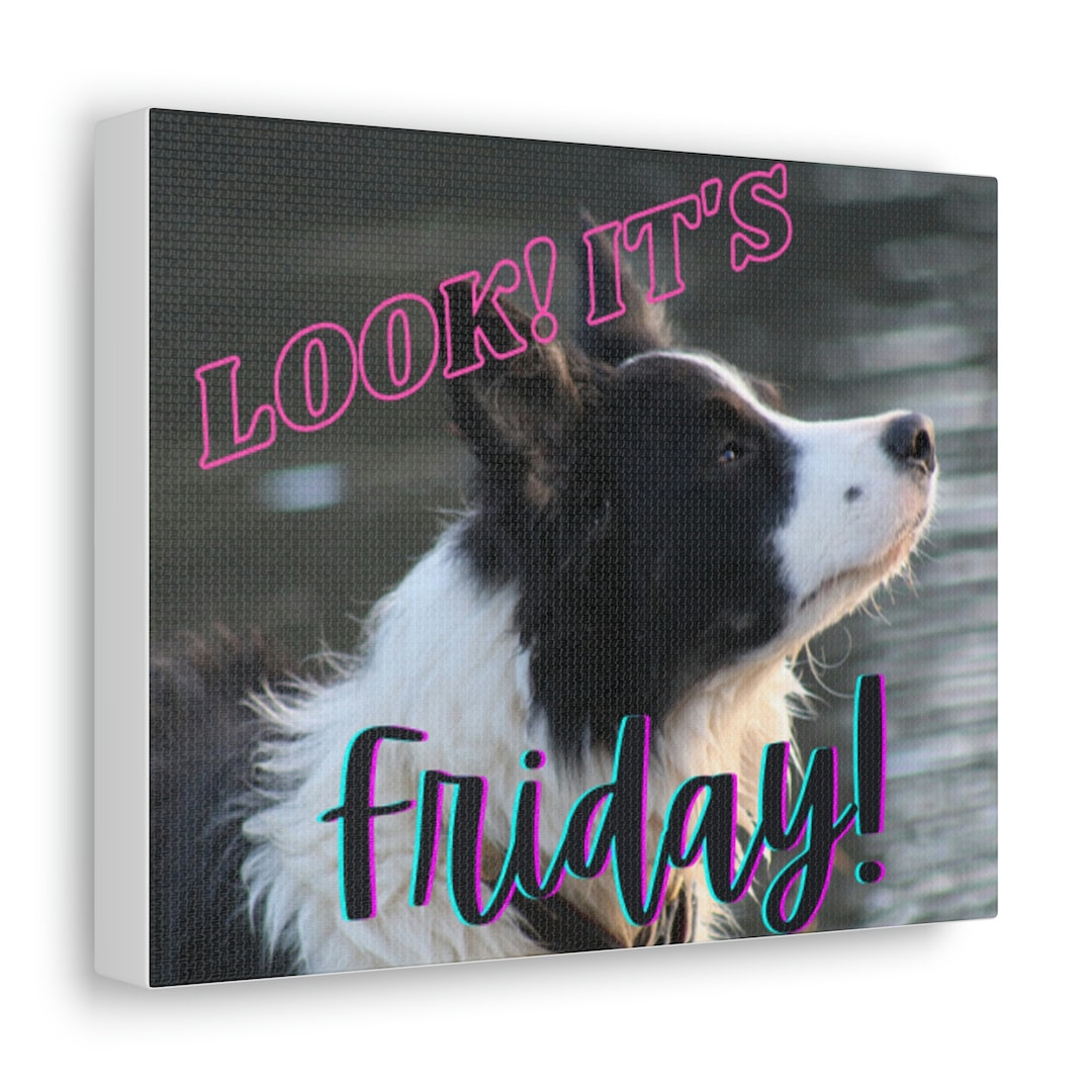 TGIF Border Collie Puppy - Etsy