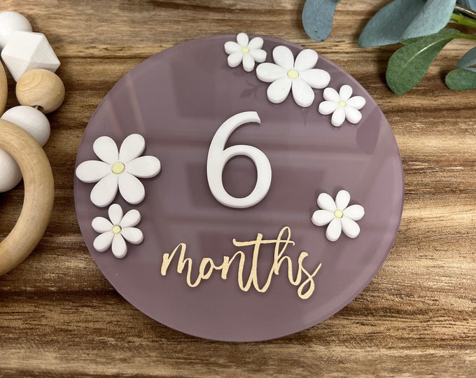 Acrylic Baby Milestone Marker, Baby Milestone Discs, Interchangeable ...