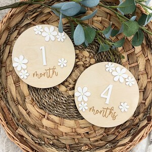 Wooden Baby Milestone Marker, Baby Milestone Discs, Interchangeable ...