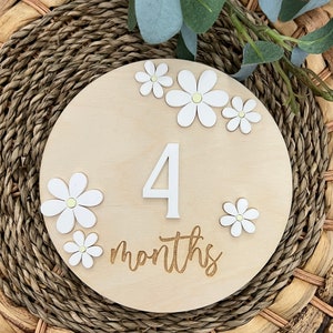 Wooden Baby Milestone Marker, Baby Milestone Discs, Interchangeable ...