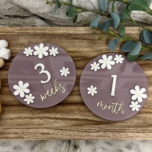 Acrylic Baby Milestone Marker, Baby Milestone Discs, Interchangeable ...