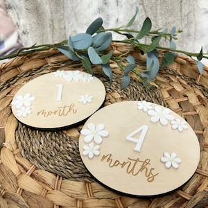 Wooden Baby Milestone Marker, Baby Milestone Discs, Interchangeable ...