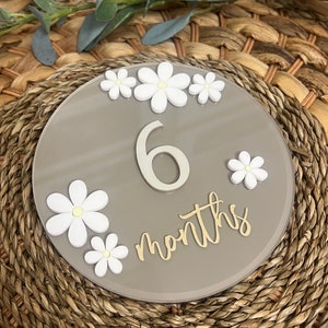 Acrylic Baby Milestone Marker, Baby Milestone Discs, Interchangeable ...