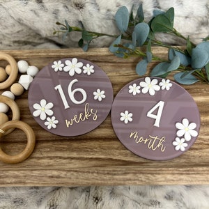 Acrylic Baby Milestone Marker, Baby Milestone Discs, Interchangeable ...