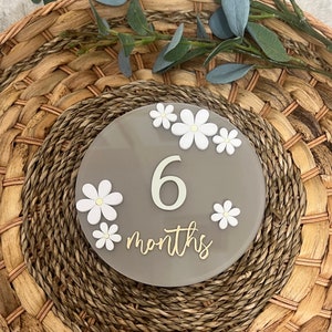 Acrylic Baby Milestone Marker, Baby Milestone Discs, Interchangeable ...