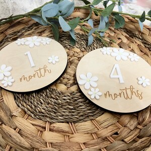 Wooden Baby Milestone Marker, Baby Milestone Discs, Interchangeable ...