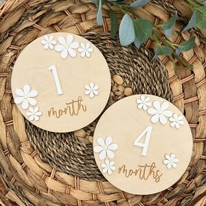 Wooden Baby Milestone Marker, Baby Milestone Discs, Interchangeable ...