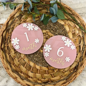 Acrylic Baby Milestone Marker, Baby Milestone Discs, Interchangeable ...