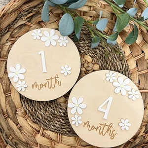 Wooden Baby Milestone Marker, Baby Milestone Discs, Interchangeable ...