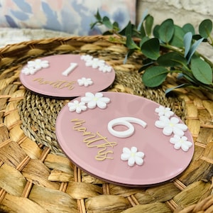 Acrylic Baby Milestone Marker, Baby Milestone Discs, Interchangeable ...