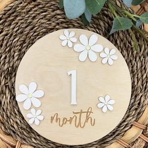 Wooden Baby Milestone Marker, Baby Milestone Discs, Interchangeable ...