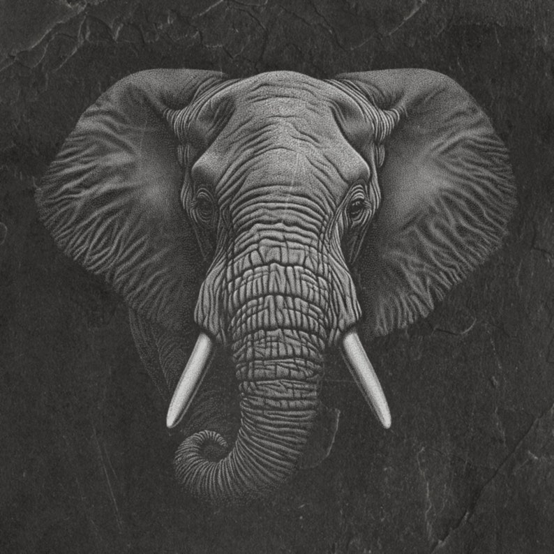 Wild and Rustic Slate Coasters Engraved With Lion, Stag, Wolf, Tiger ...