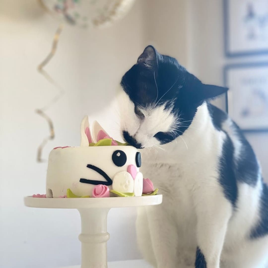 Cat Birthday Cakecat Birthday Cake Kitty Cat Cake With Roses Happy ...