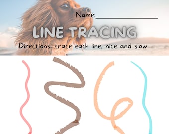 Shape Tracing Puppy-themed Shape Tracing Worksheet Instant Download - Etsy