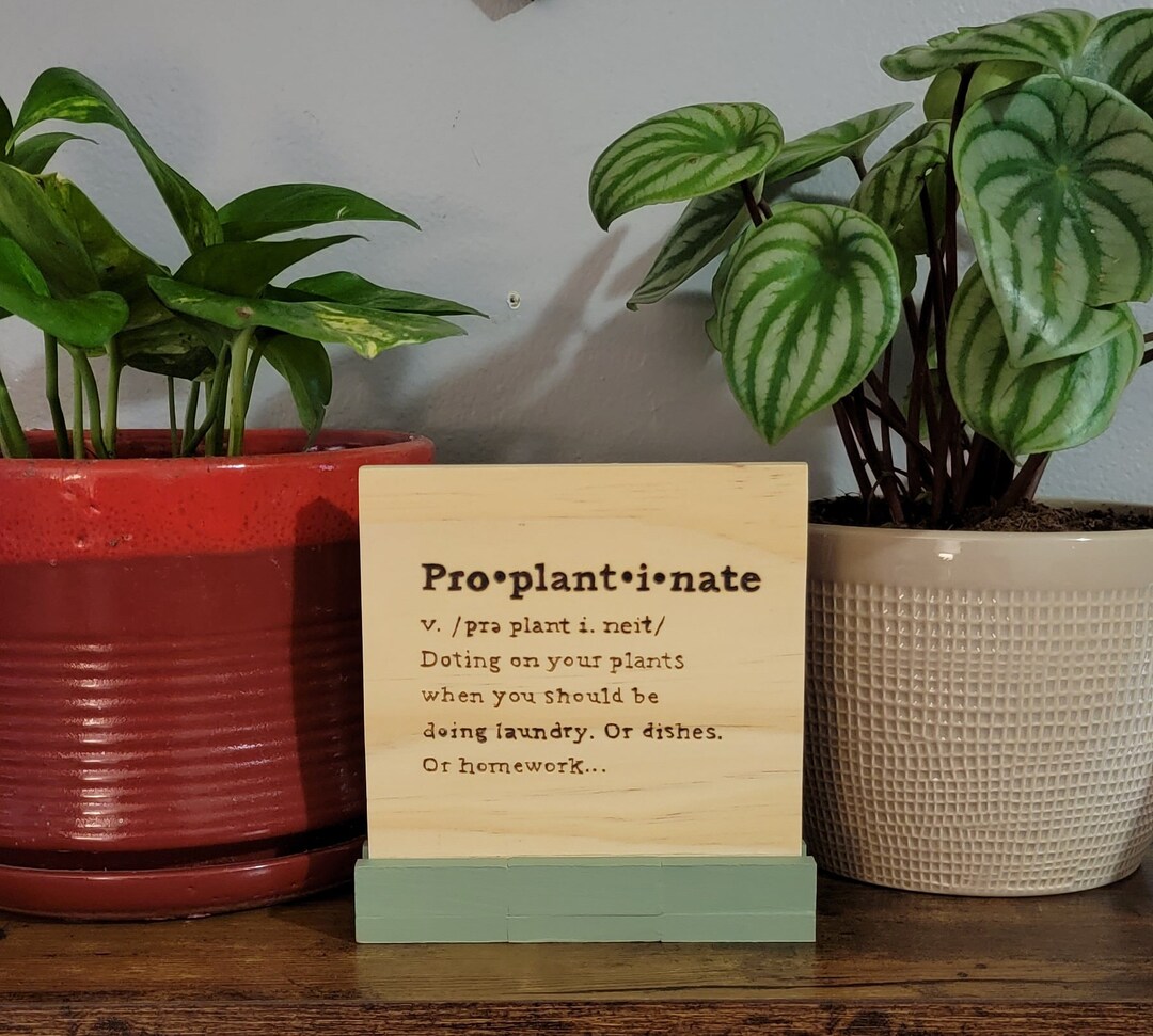 Plant Lovers Shelf Sitter, Plant Sign, Proplantinate Table Decor, Wood ...