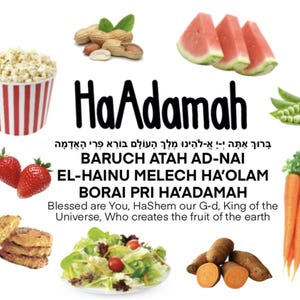 Hebrew Blessings for Food Charts - Etsy