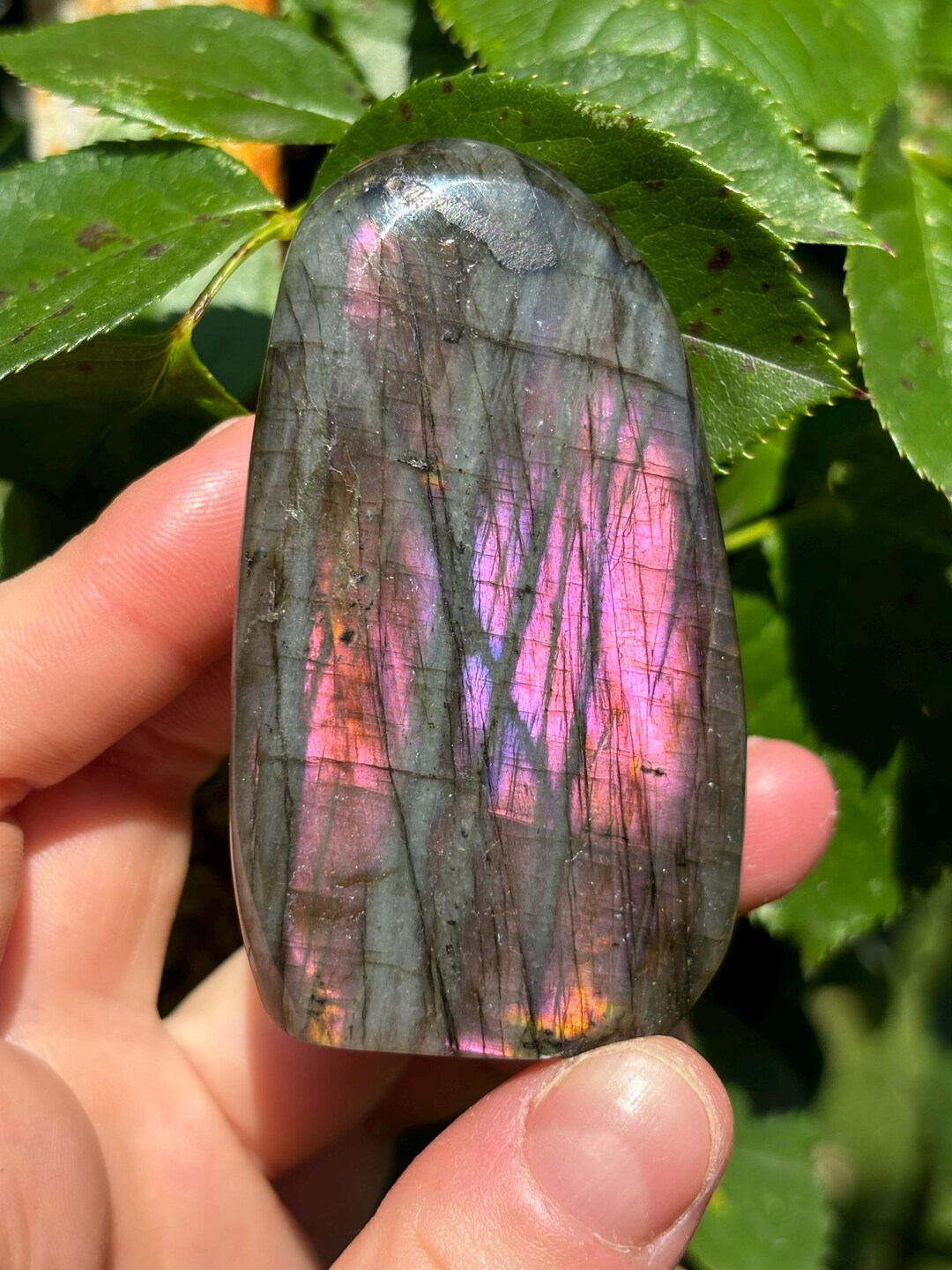 Mini Dual-flash Pink Labradorite Freeform (111 Grams) | Sunset ...