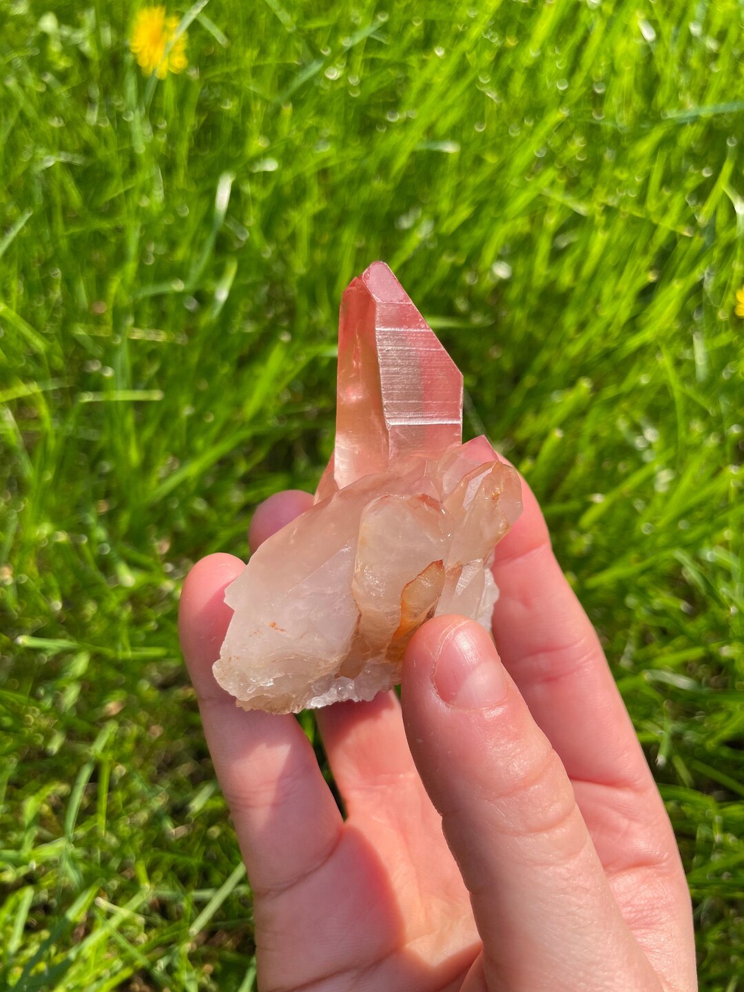 Rare Scarlet Temple Pink Lemurian Cluster Brazil 81 Grams Scarlet ...