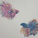 Two Fish Painting, Cuadro Dos Peces, Peinture De Deux Poissons, Malerei ...