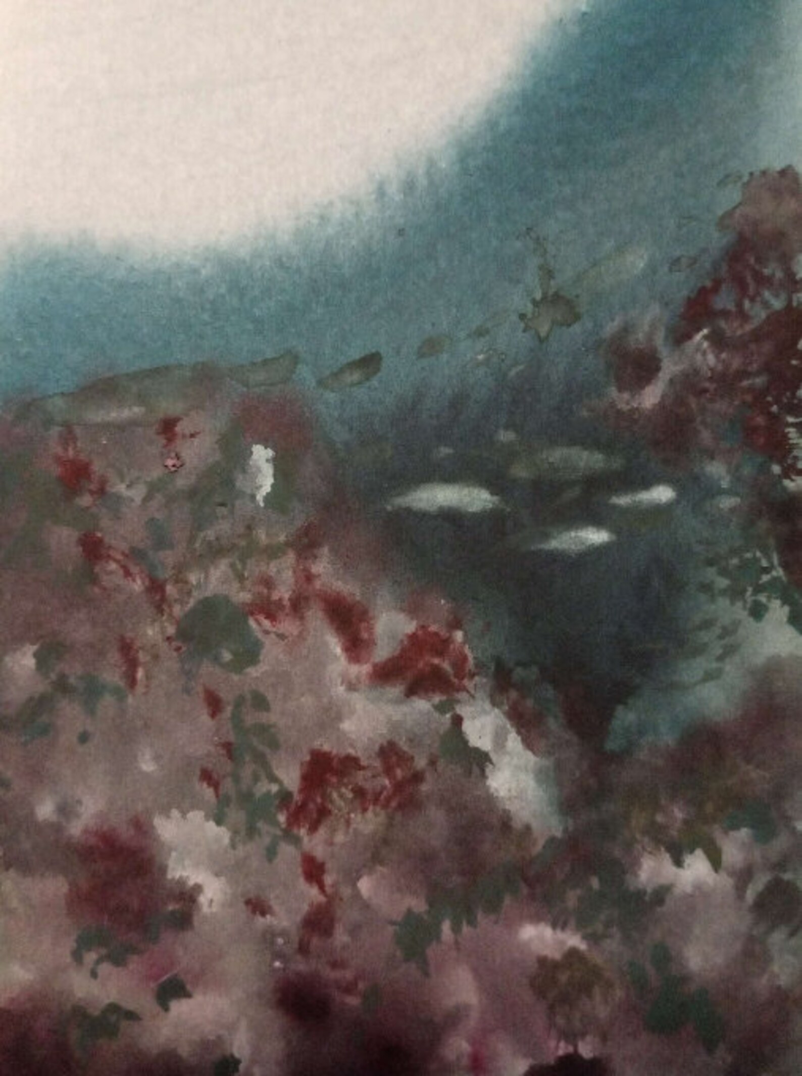 Underwater Fish Painting, Acuarela Fondo Marino ...