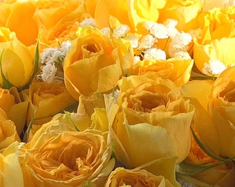 Diamond Painting Yellow Roses - Etsy
