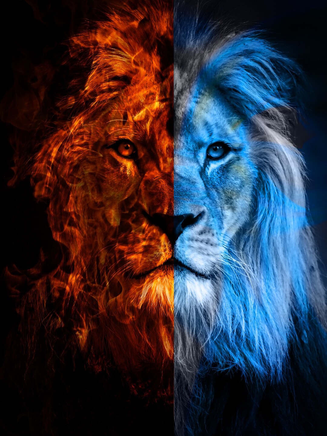 Fire and Ice Lion Full Drill DIY Diamond Painting Kit Round Drill - Etsy