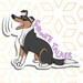 Smooth Collie Sticker Pack || Set of 6 Unique Dogs - Etsy