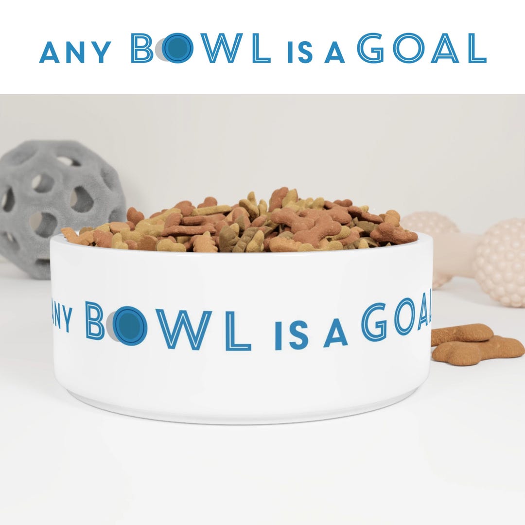 Funny Ceramic Dog Bowl for Rupaul's Drag Race Fan, Pun Pet Bowl, 6 ...