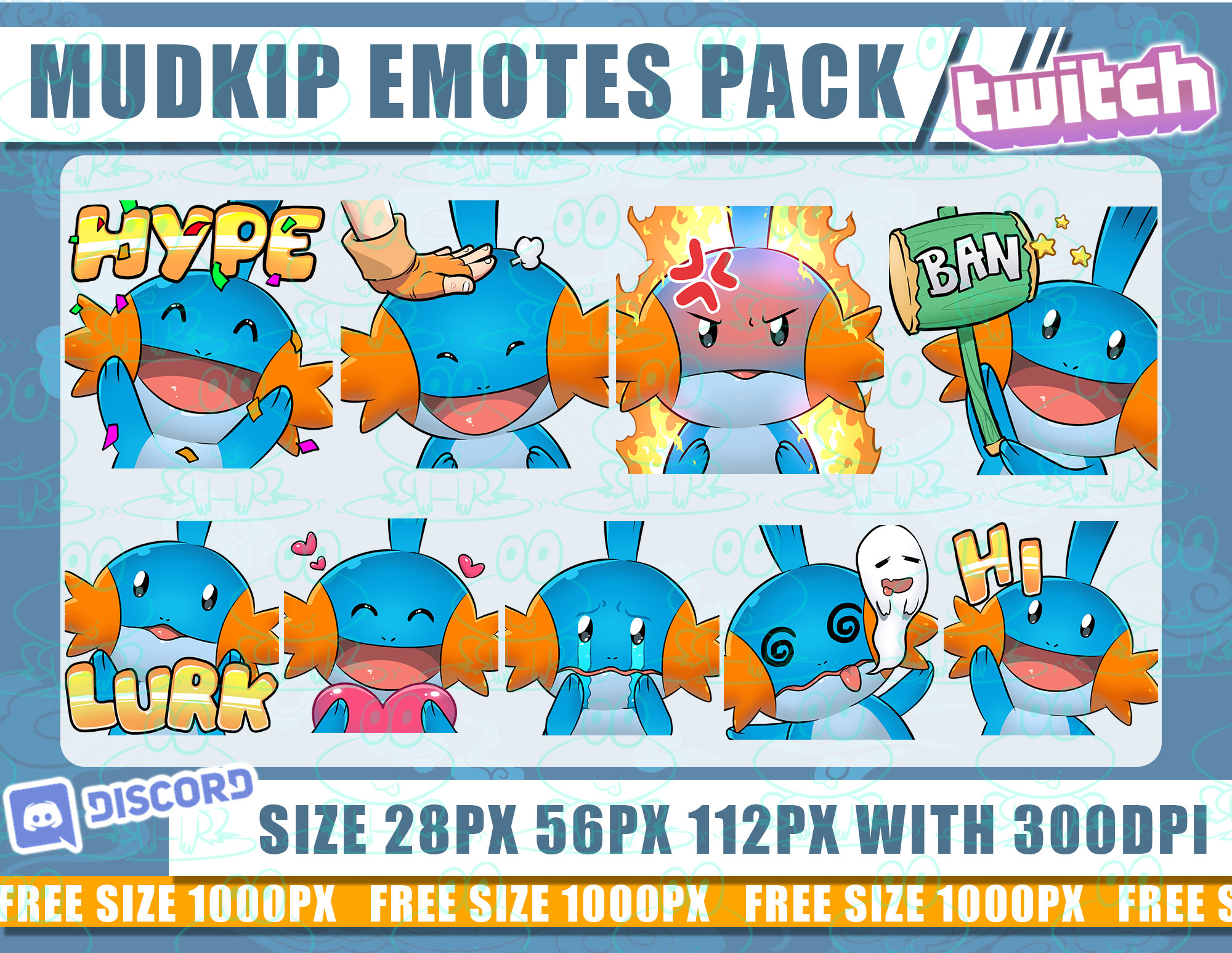 Mudkip Chibi De Kat