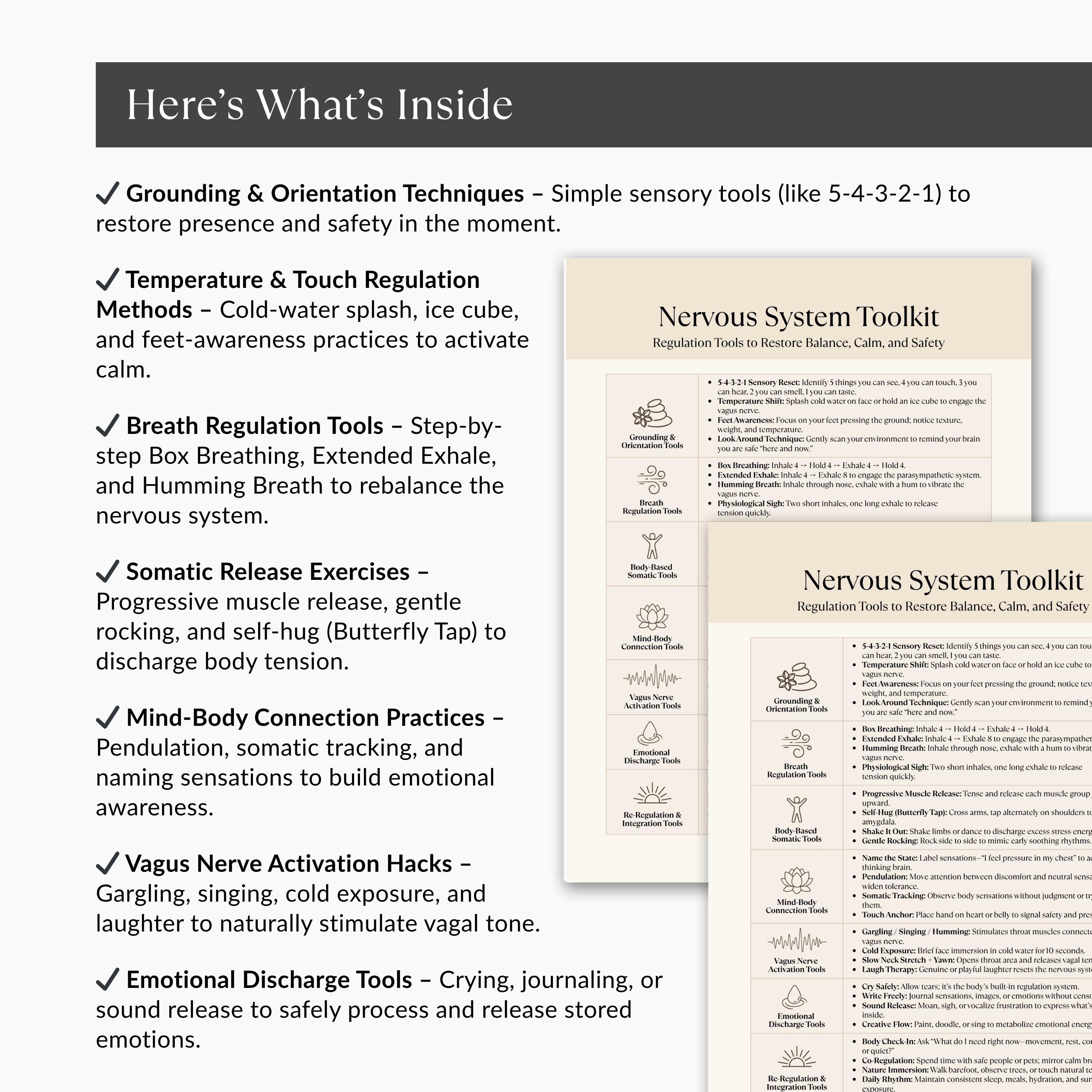 Nervous System Regulation Toolkit, Vagus Nerve and Somatic Therapy ...